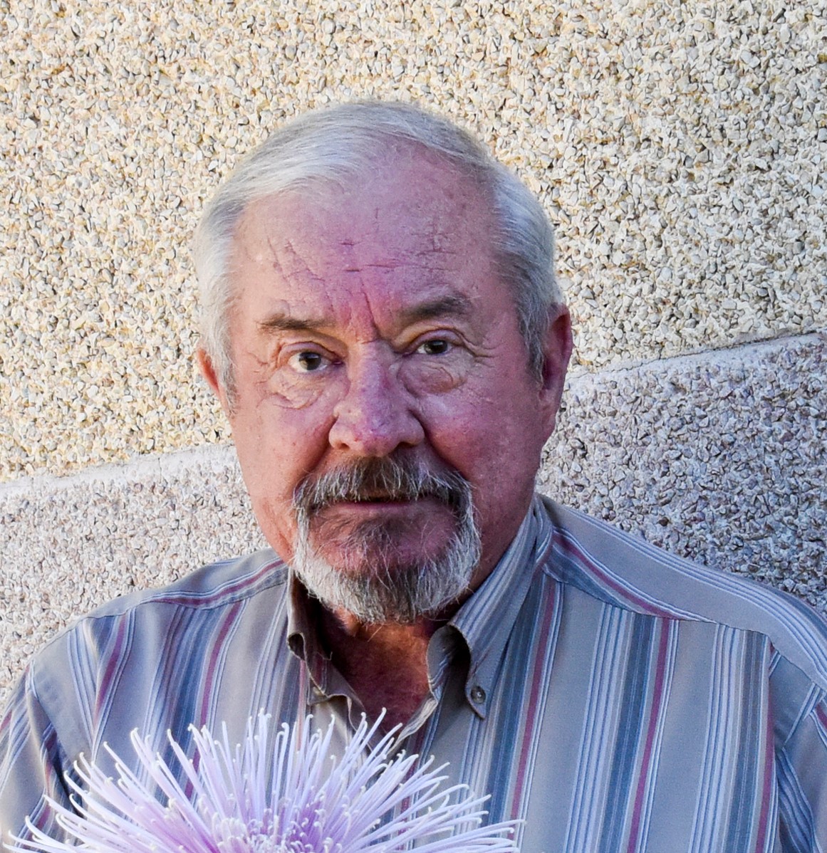 Wayne Wight – National Chrysanthemum Society